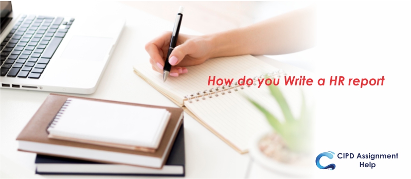 How Do You Write A HR Report Types Of HR Reports