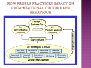 5CO01 Assignment Example | 5CO01 Answers