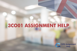 3CO01 Assignment Example