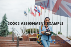 3CO03 Assignment Example – CIPD Assignment Help